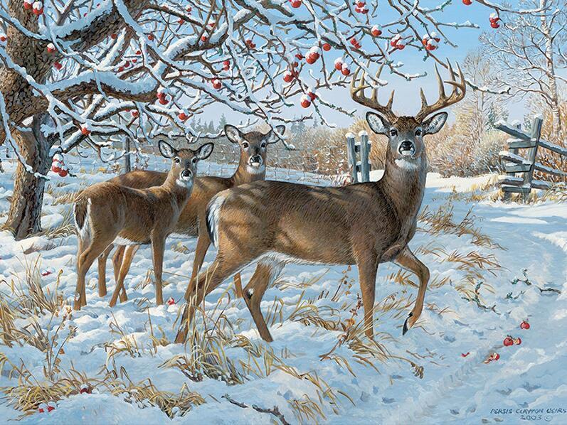 Snowfall on Reindeer - GemPaint™ Kit – Sugar & Cotton