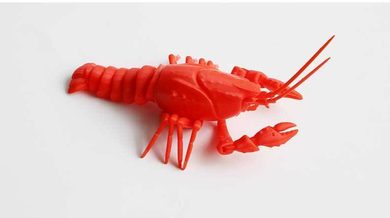 PrintZee - 3D Printer Ender 3 – Sugar & Cotton