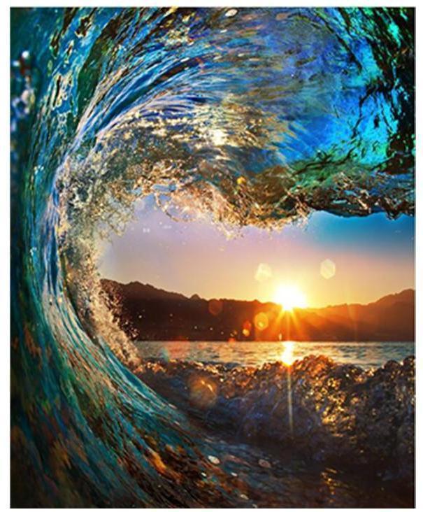 Surf's Up - Van-Go Paint-By-Number Kit – Sugar & Cotton